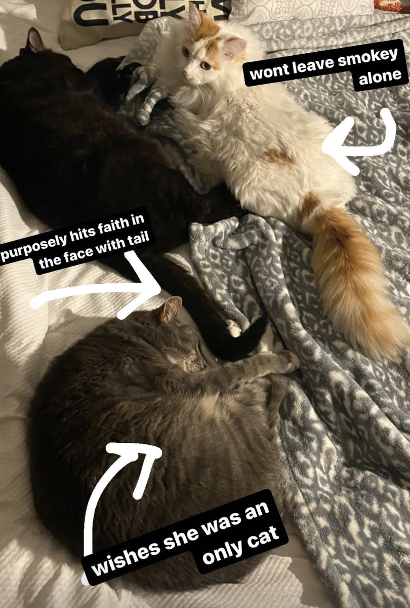 Destiny Nunez Parra - Fullstack Developer